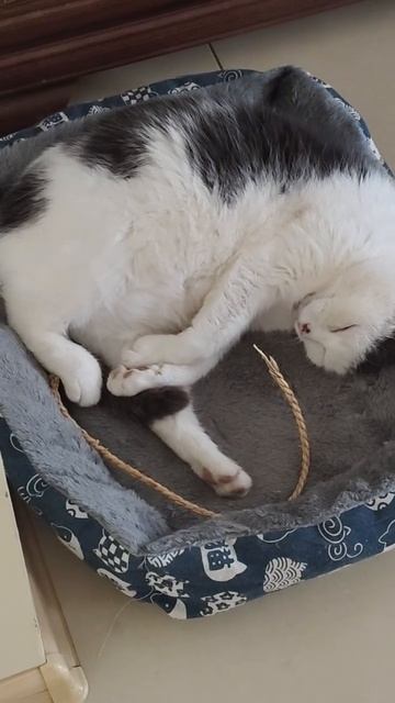 Спокойствие...