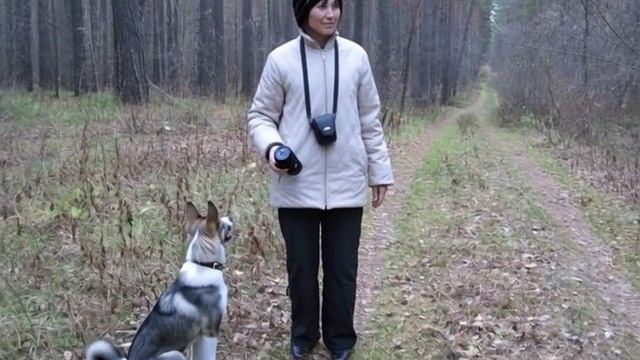 "Оживила" фото-прогулка с собакой Дарой