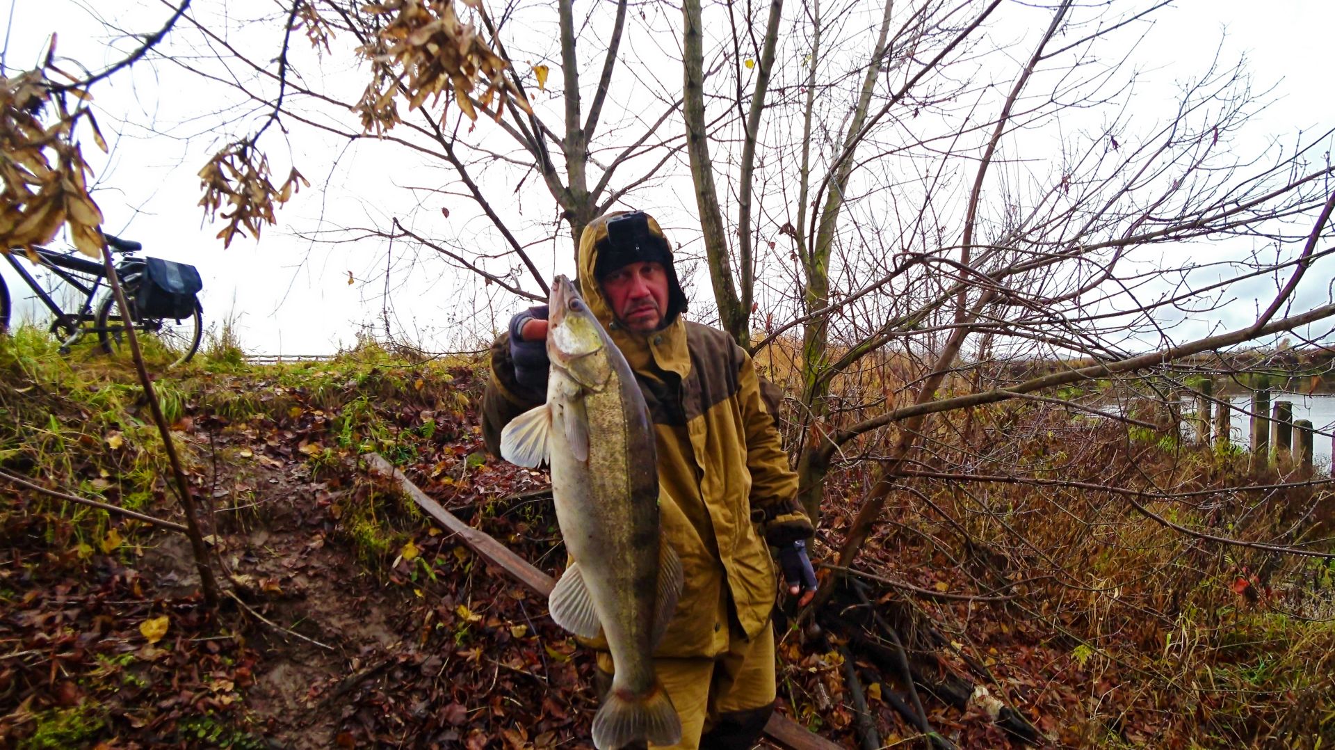 МОЛЧА ВЗЯЛ СВОЙ ТРОФЕЙ. ЭТА ПРИМАНКА СДЕЛАЛА СВОЕ ДЕЛО. ТРОФЕЙНАЯ РЫБАЛКА НА РЕКЕ КЛЯЗЬМА.