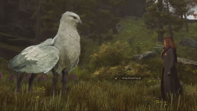 #9 [Хогвартс: Наследие] -  Фантастические Твари [Прохождение, Русский Дубляж]