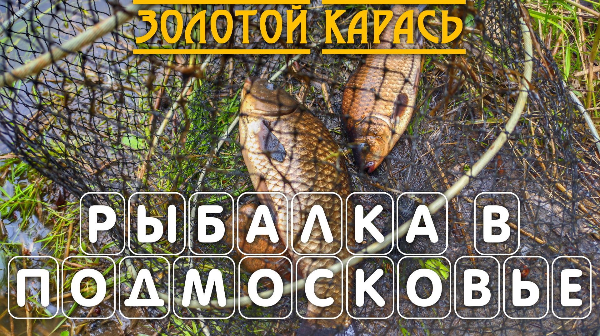 Рыбалка на золотого карася весной в Подмосковье поплавочной удочкой