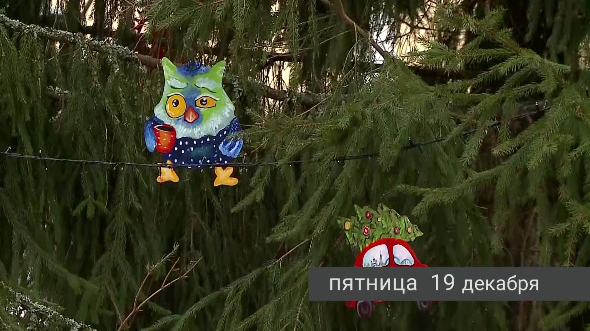 Рыбинск. События недели (13 - 19 декабря 2025 года)