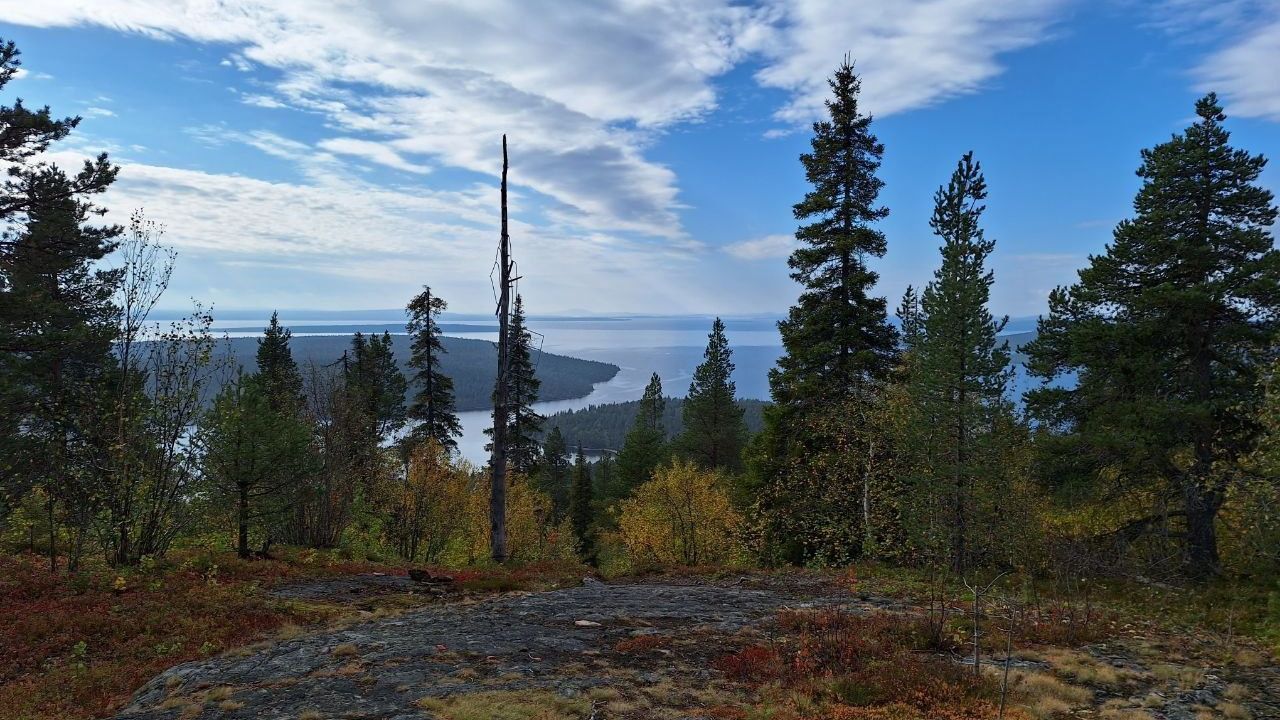 Snow-Capped Serenade