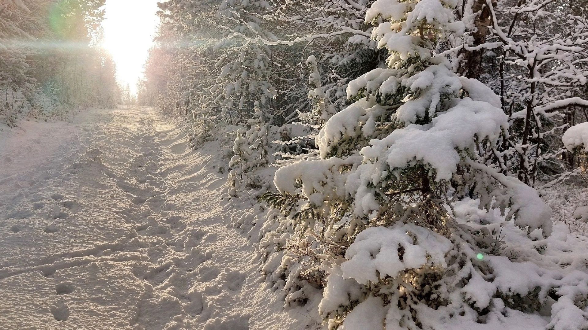 Грустная мелодия любви