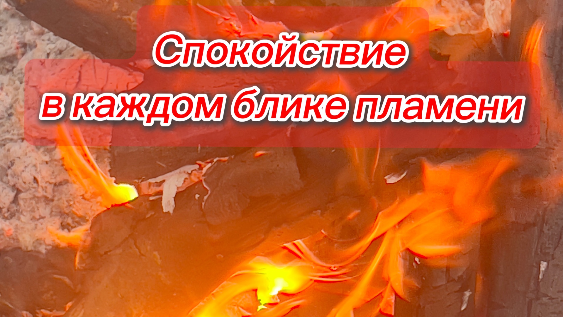 Наедине с природой и пламенем