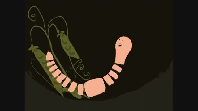 Путешествие дождевого червячка (ФП МГУ, ДР Евы Дегтяревой (554 группа)