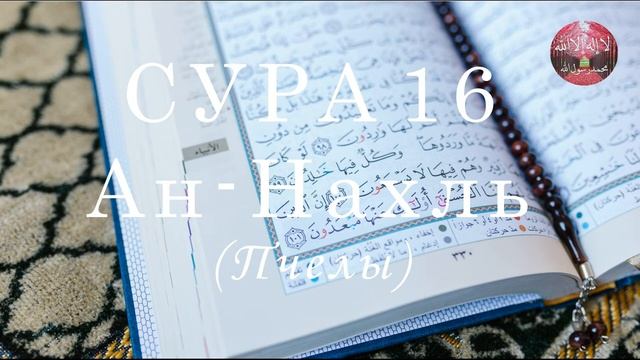 Сура 16 Ан-Нахль (Пчёлы) || Бадр Аль Турки