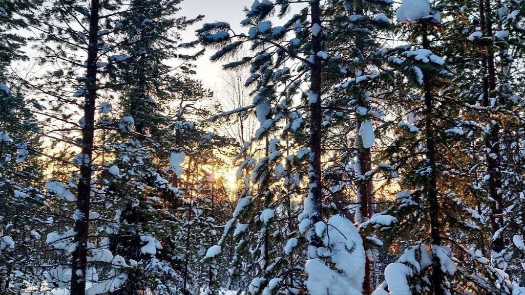 На краю ночи 2