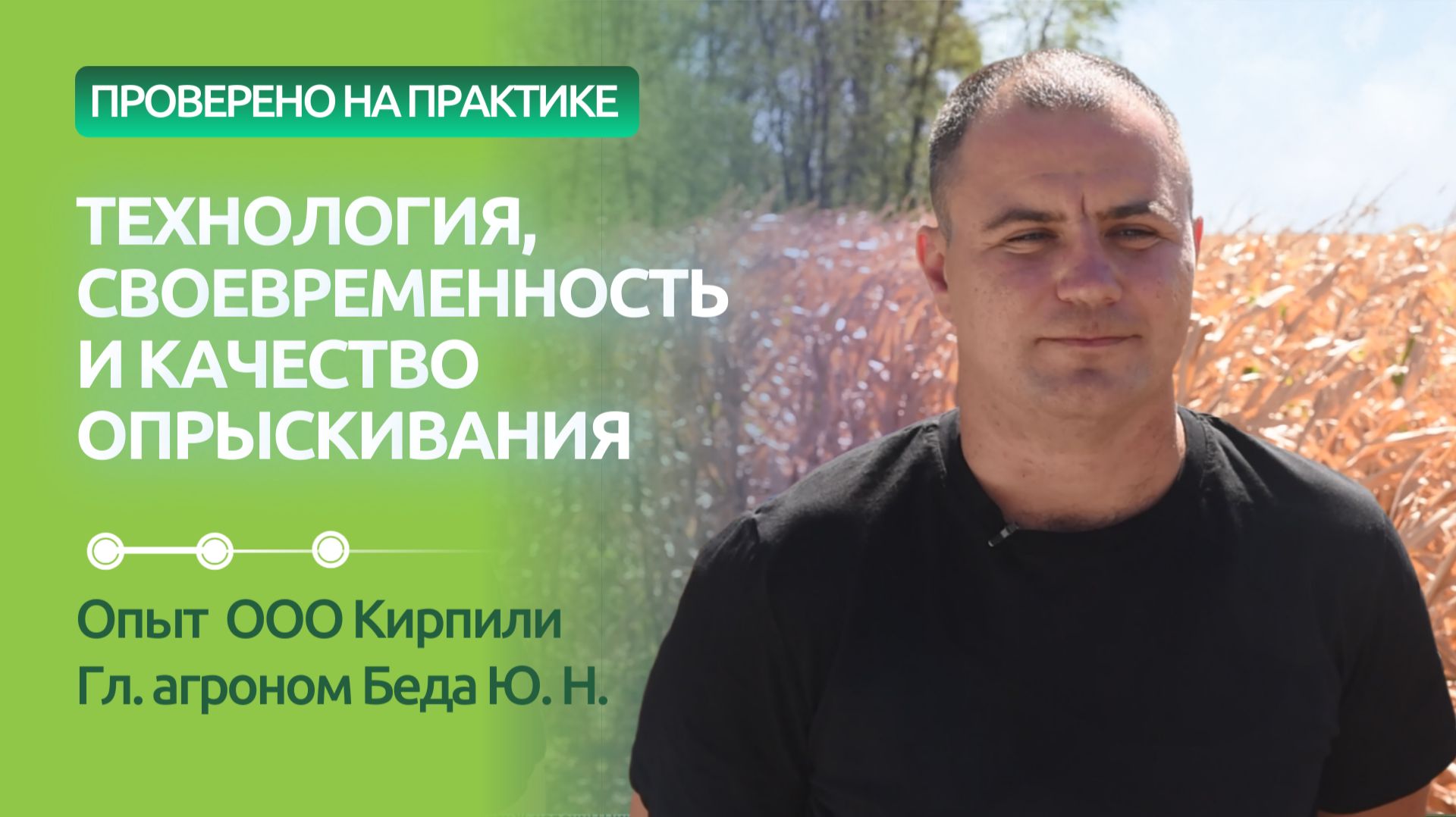 Как получить 7-8 т/га пшеницы высокого класса? Технология, своевременность и качество обработок