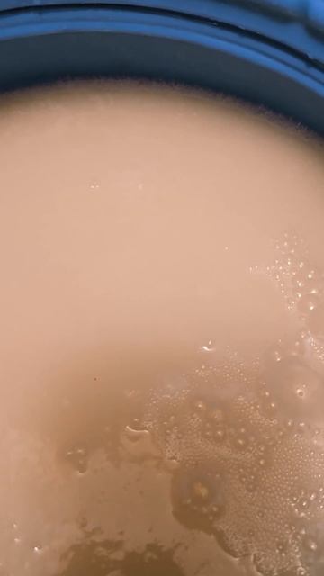 Дрожжи Bragman 48 ( Брагман) превратились в шлак