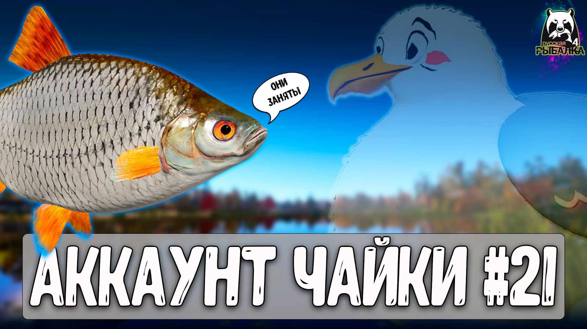 Чайка в чате стал прозрачным #рр4