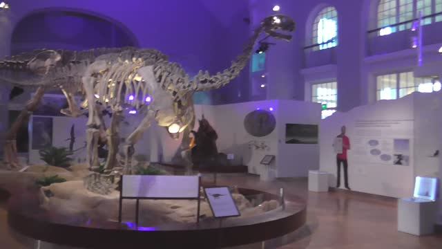 Музей естествознания (Luonnontieteellinen museo) в Хельсинки 2013 год