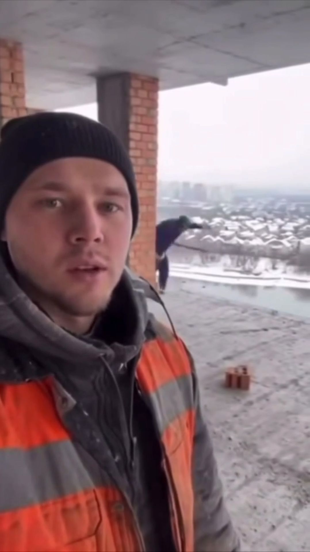 Миша пораньше уйти решил #прикол #приколы #рекомендации #тренд #trending #trend #funnyvideo #shorts