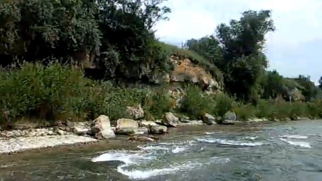 Большие лягушки в пригороде Кисловодска 2011 год #кисловодск #лягушки #frog #лягушка