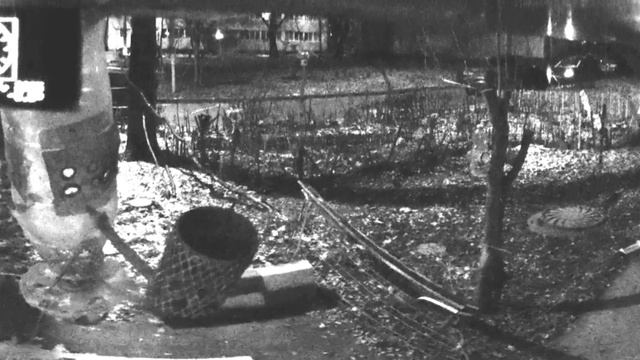 В генеральную прокуратуру РФ Нарушения ПДД и САНПИН