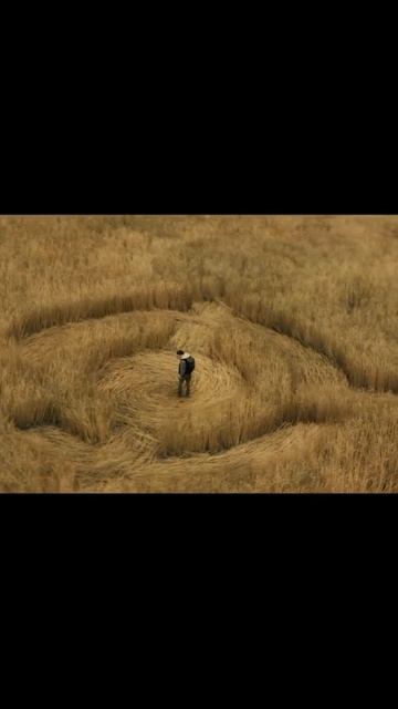 «Disclosure Day» («День разоблачения») — короткий обзор нового фильм от Стивена Спилберга | 14 канал