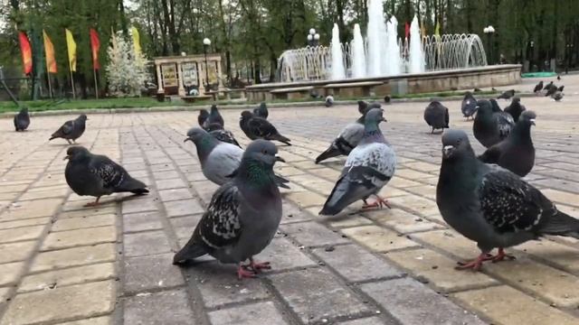 Природный сюрприз / Архив от 13.05.2021