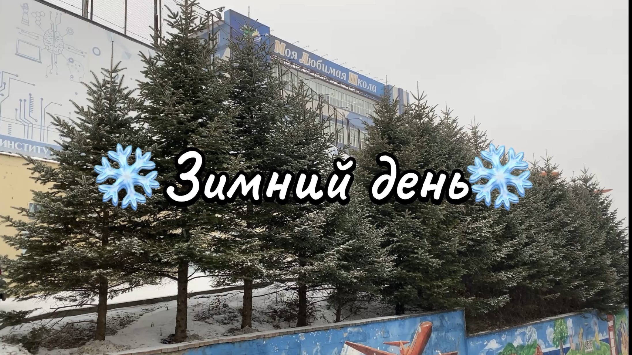 Первый зимний влог. Деловая прогулка после снегопада. 19 декабря 2025 г.