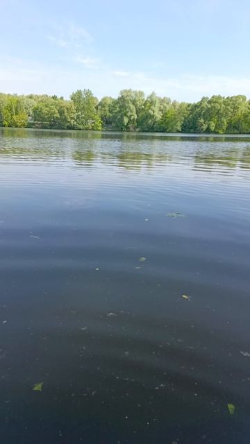 Взаимодействие с водой