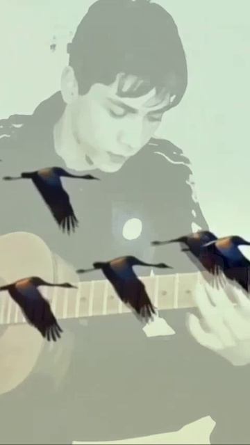 Цыган на нарах поет. Часть 3