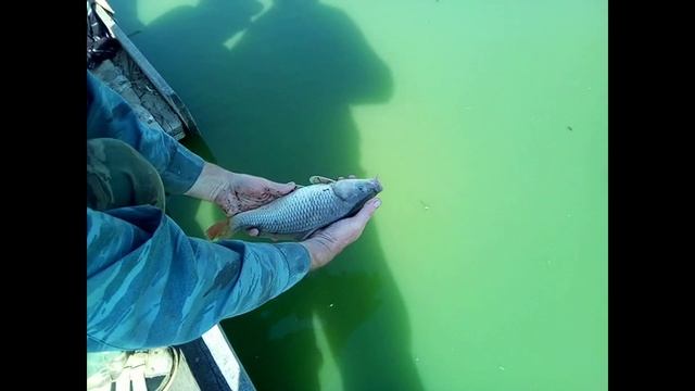 Спортивная рыбалка на пруду