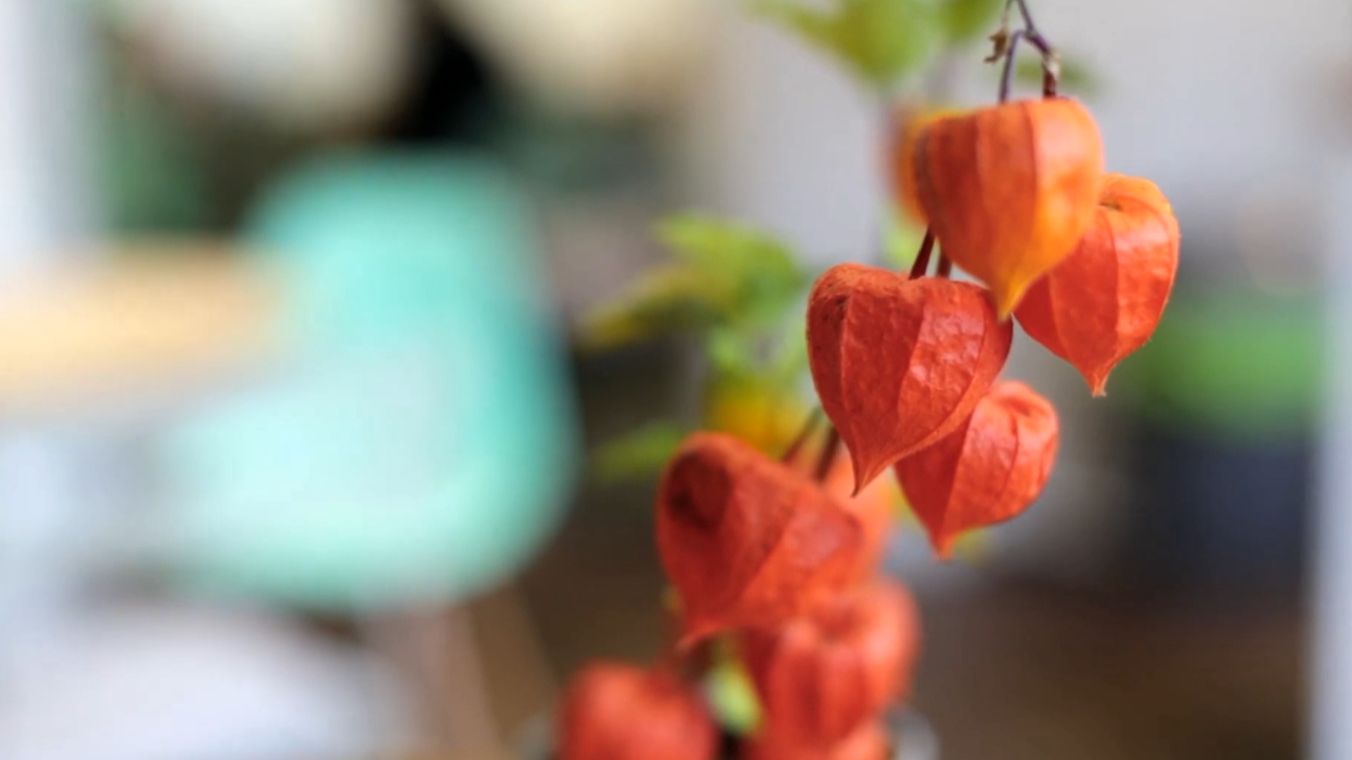 И.С. Бах. Маленькая прелюдия соль минор №11