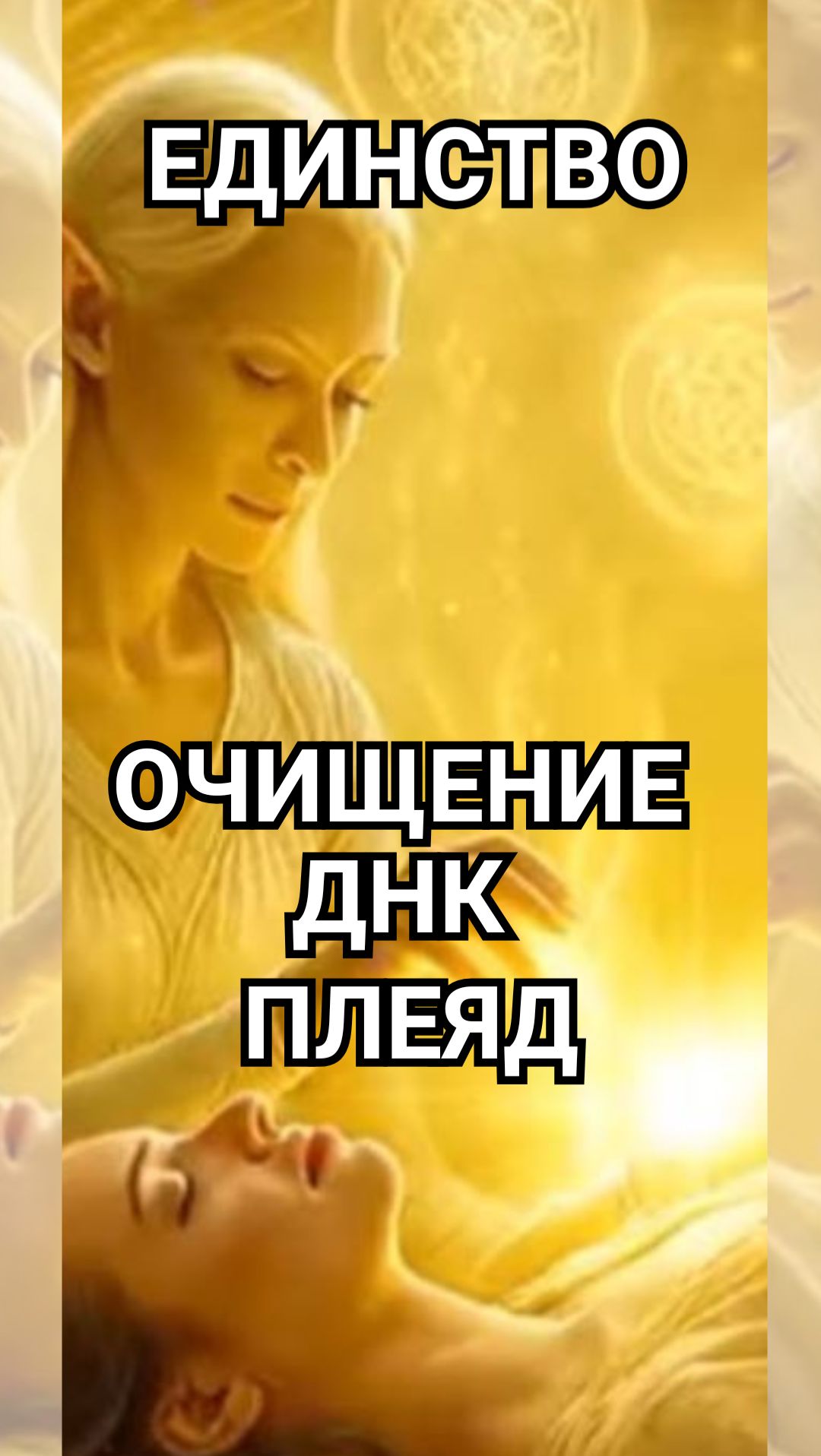 3. ОЧИЩЕНИЕ ДНК ПЛЕЯД. Обучающий курс