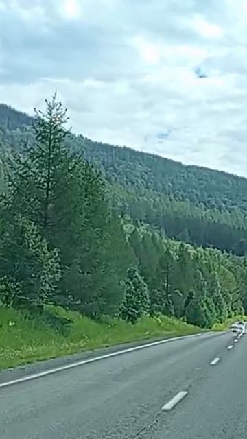 ЧУЙСКИЙ ТРАКТ