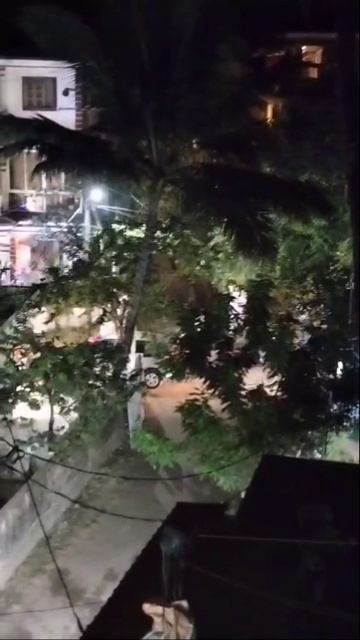 ГОА. ПОЖАР. СПАСАТЕЛИ НА МЕСТЕ