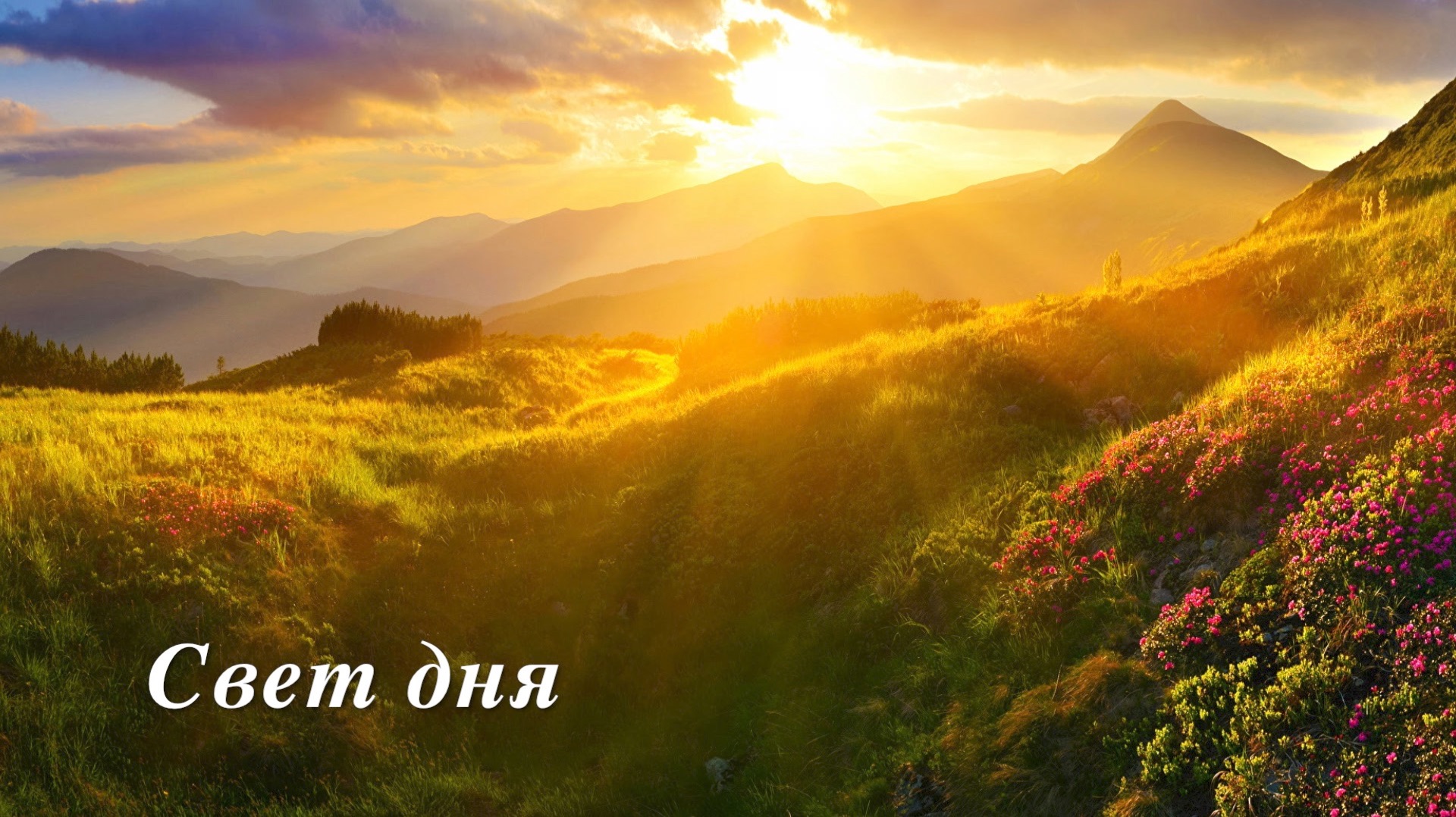 ХРОНИКИ АКАШИ. Сказ. Свет дня