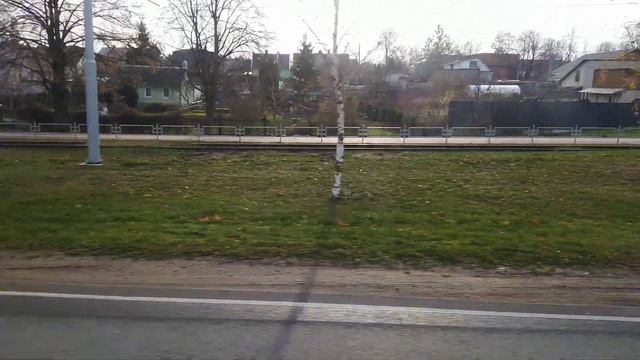 Балтийская природа из окна автобуса