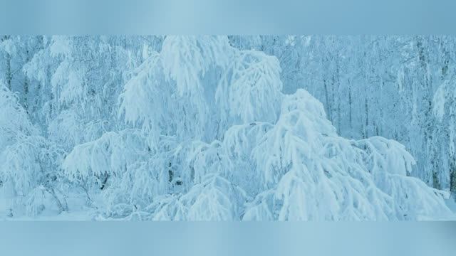 Артур Закиров  "Думай только о хорошем" читает Любовь Б.  #стихи #поэзия #стихиожизни