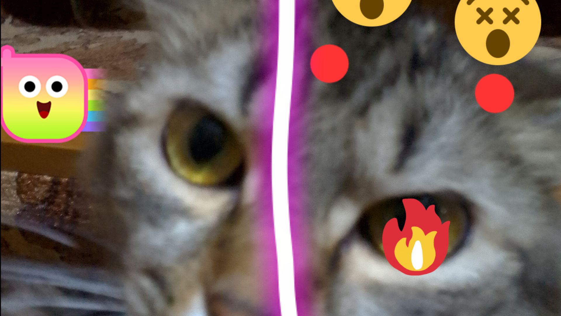 Милый котик официальный музыкальный клип