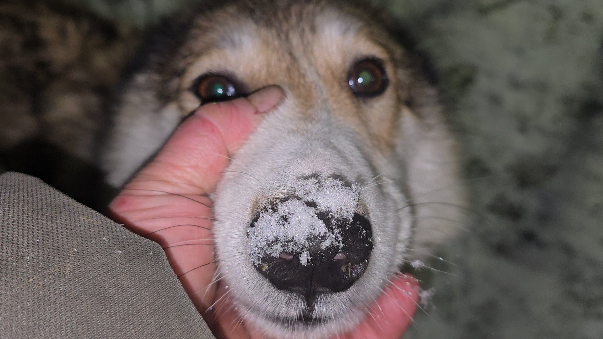 Ночной разговор