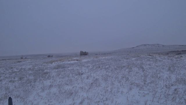 Охота на зайца по науке ...