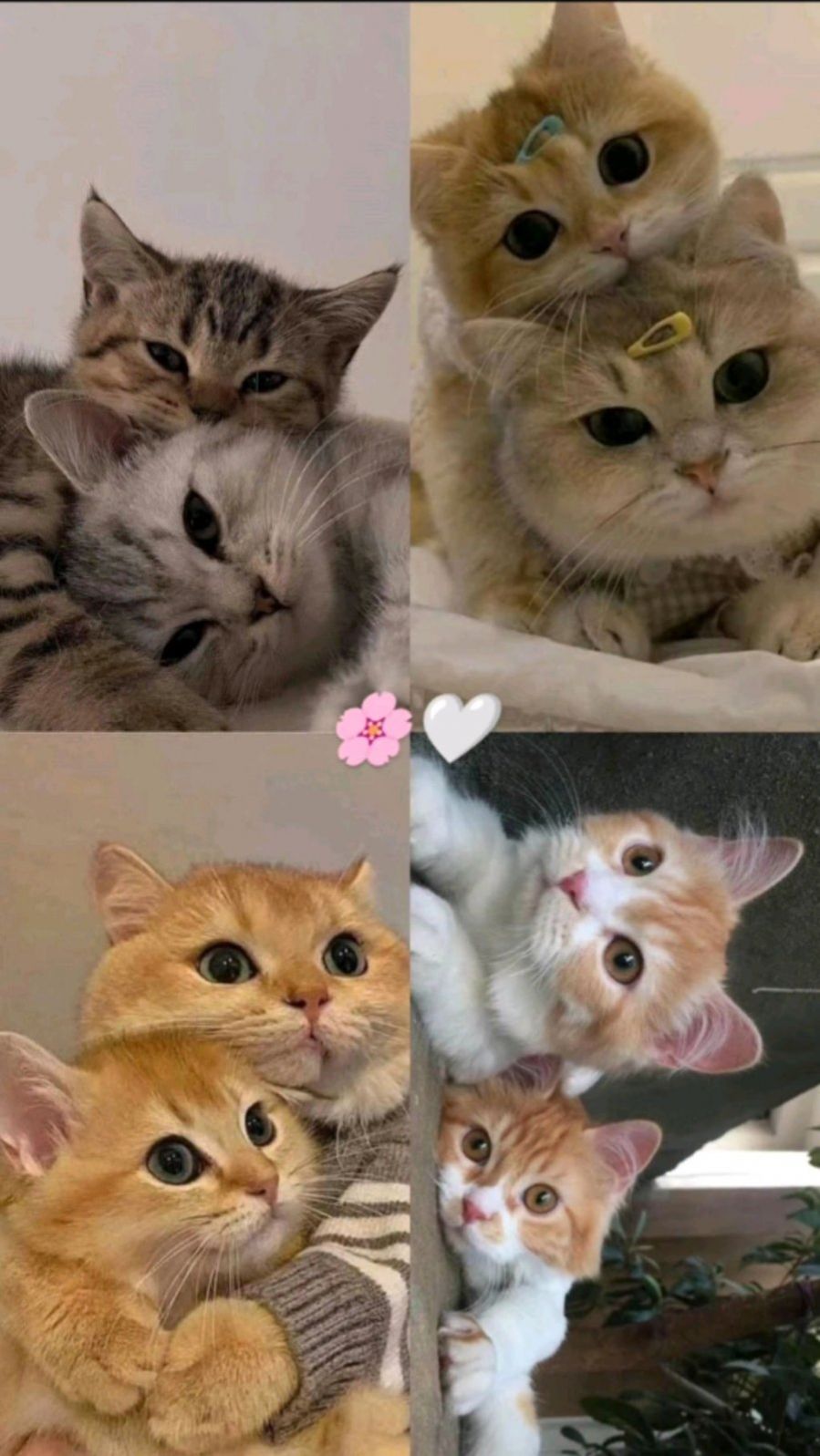 Момент взрыва на чернобыльской #ЧАЭC#