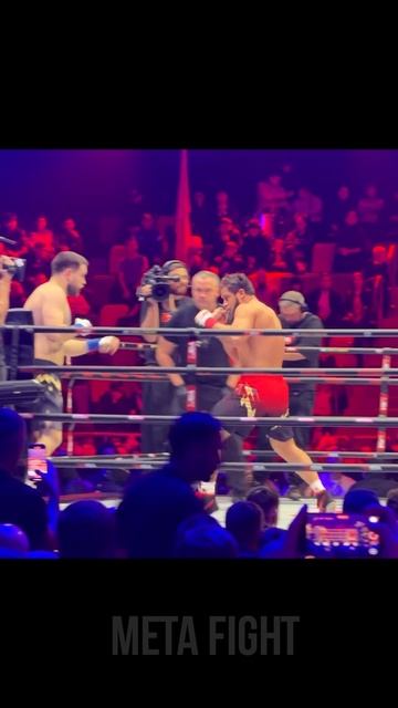 Его вообще возможно остановить? Мусалов оформляет ОЧЕРЕДНОЙ НОКАУТ