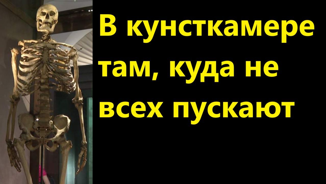 В кунсткамере там, куда не всех пускают