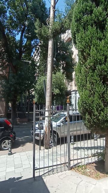 Церковь Святого Эквтиме в Тбилиси 27.06.2025