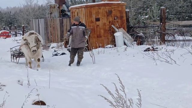 Дхарма,19.12.25