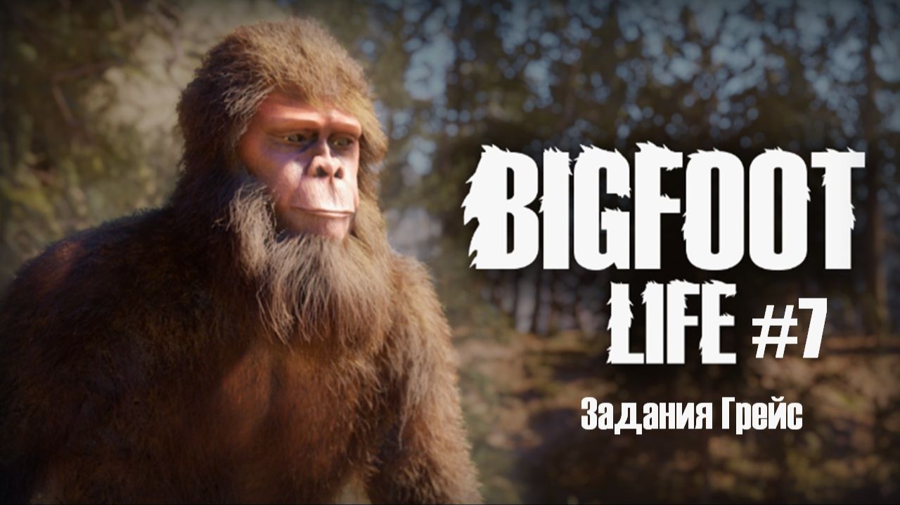 Bigfoot Life #7 / Задания Грейс