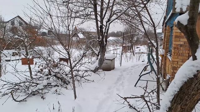 Пошел на дачу пешком зимой, снег 10см, прошел 12 000 шагов.