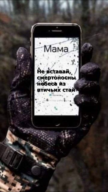 Сергей Тимошенко - Нулевой меридиан