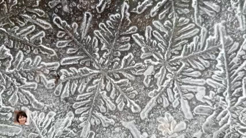 Хорошо в лесу.