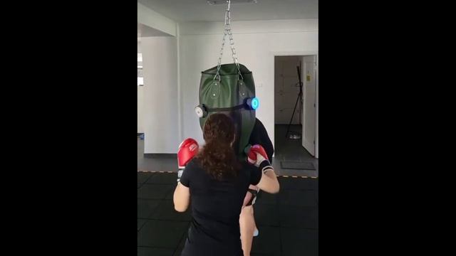 Красный - удар ногой, синий - удар рукой