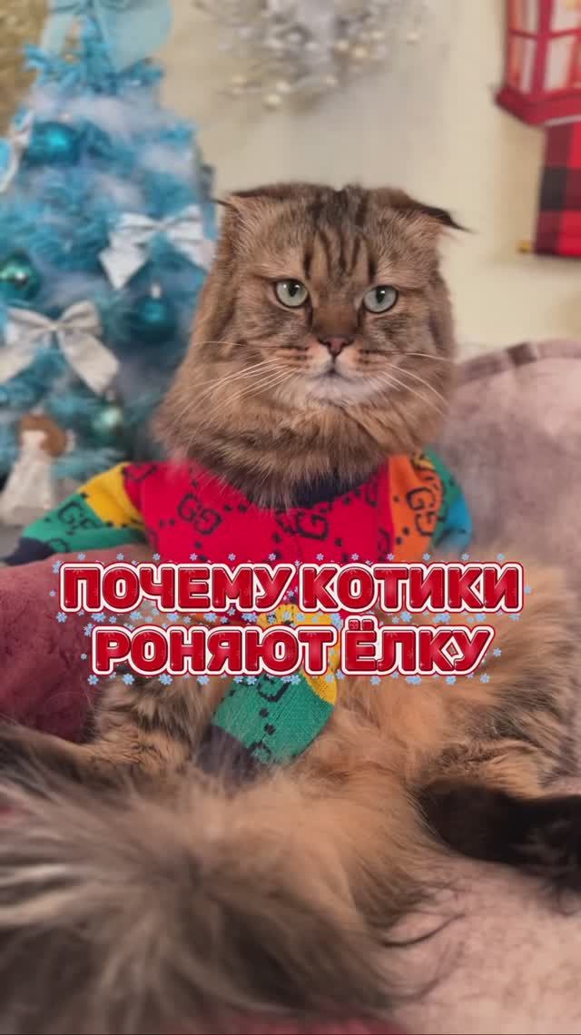 А ваши котики роняют елку?🎄😸 #котики #юмор #животные