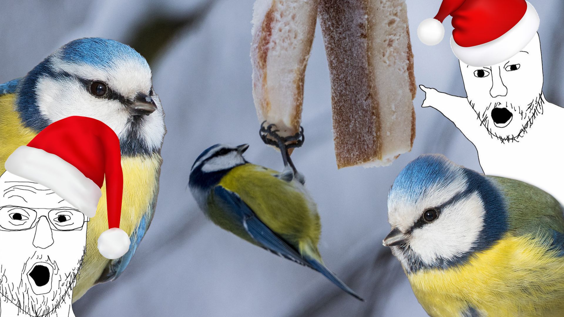 Сало для синиц зимой — 1 сезон 1 серия. Как повесить