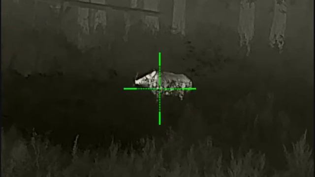 Выстрел из теплоприцела айрей джени