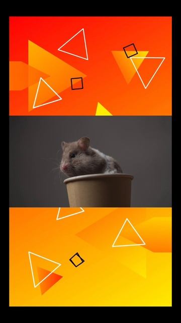 Я записал видео про смешные приколы.mp4