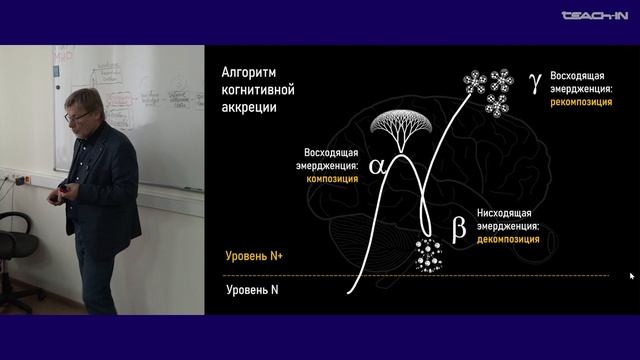 Анохин К.В. - Конференция ИПИМ МГУ - 1. Память, интеллект и сознание у когнитивных существ